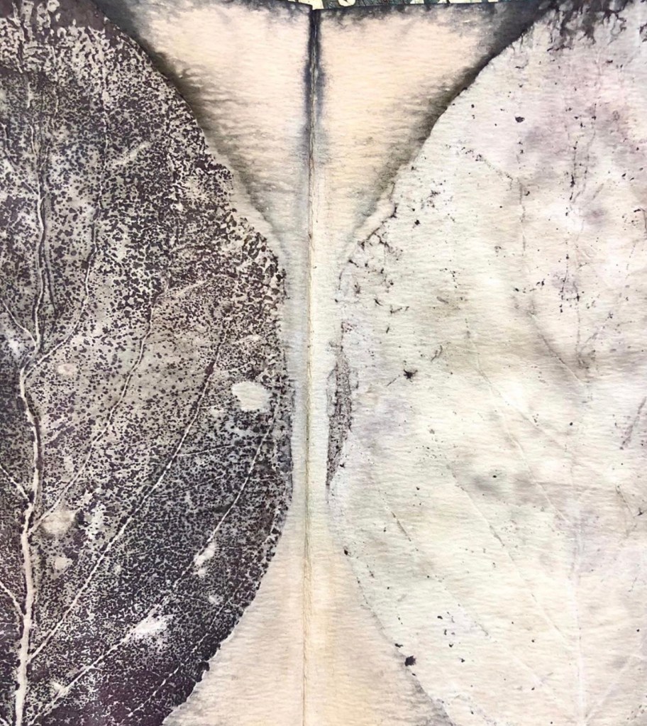 Ecoprint Botanical Print work – Kim McCormack Textiles Artist