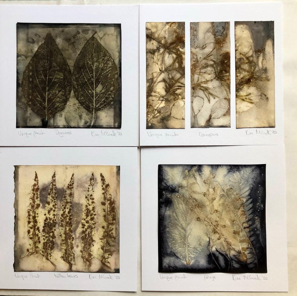 Ecoprint Botanical Print work – Kim McCormack Textiles Artist