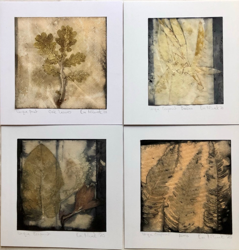 Ecoprint Botanical Print work – Kim McCormack Textiles Artist